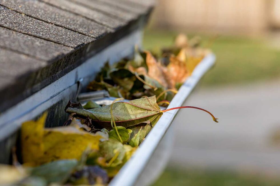 Why clean your Gutters? - Gutter People Bucks County